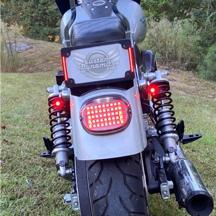 License Plate LED Frame for Dyna | Custom Dynamics